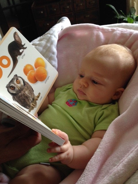 Baby Focus | MPD Ventures